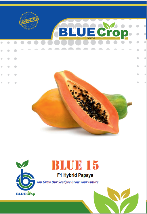 BLUE 15 (F1-HYBRID PAPAYA) – Blue Crop Sciences