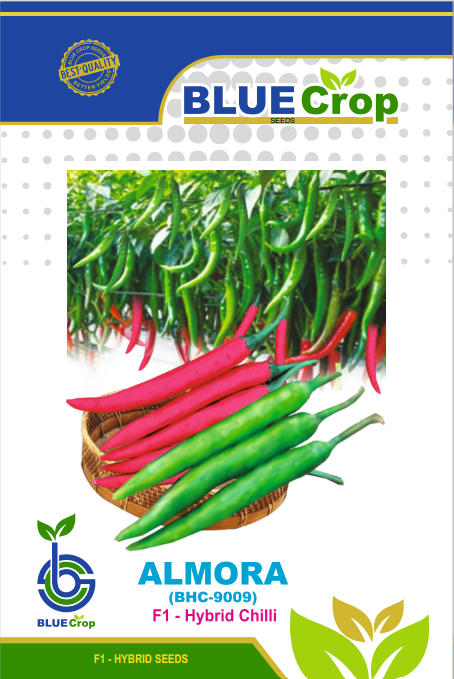 ALMORA (F1-HYBRID CHILLI) – Blue Crop Sciences